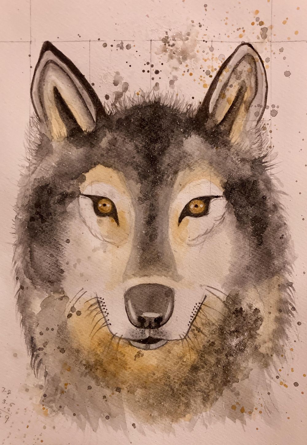 Beginners watercolour - wolf | Skillshare Student Project