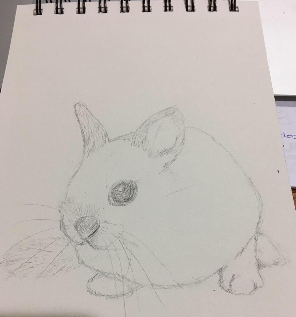 I can draw :) | Skillshare Student Project