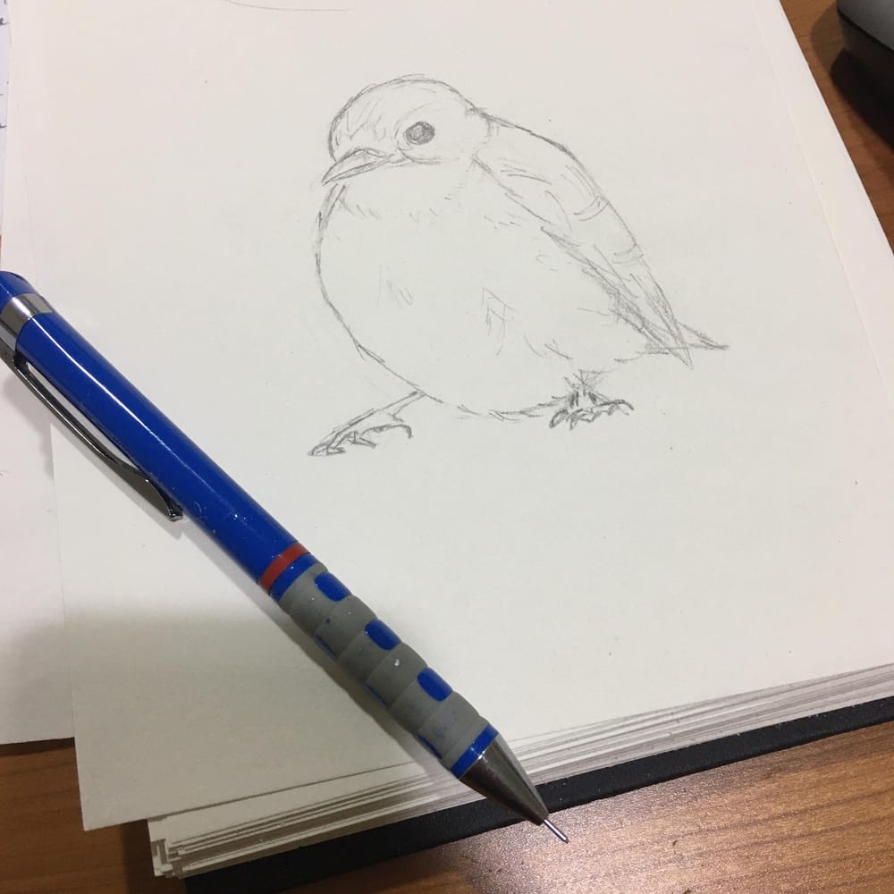 I can draw :) | Skillshare Student Project