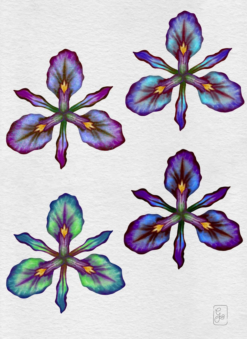 My Iris | Skillshare Student Project