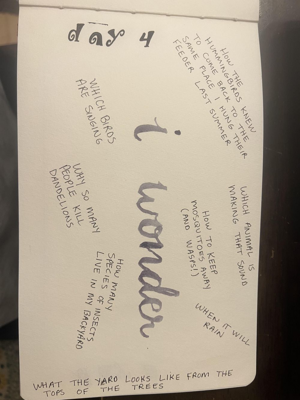 Nature Journal (not quite finished!) | Skillshare Student Project