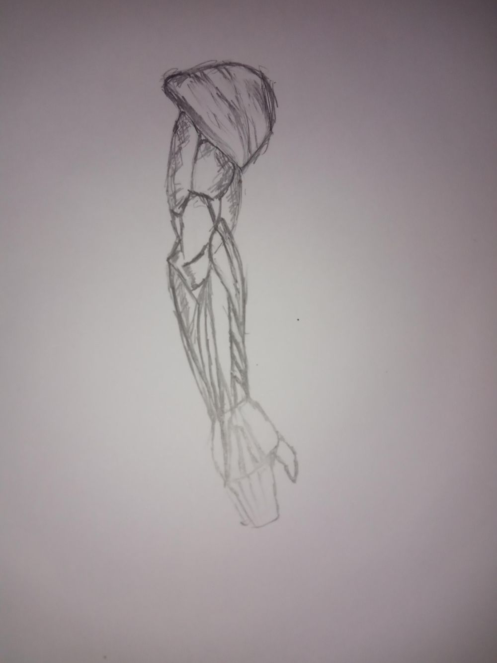 anatomy of the back arm | Skillshare Student Project