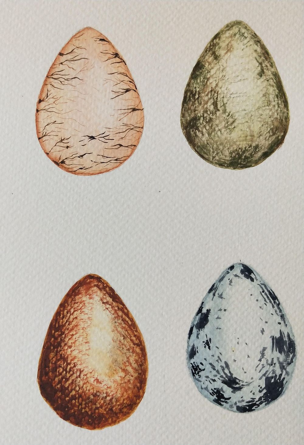 Eggs - Watercolor Textures | Skillshare Student Project