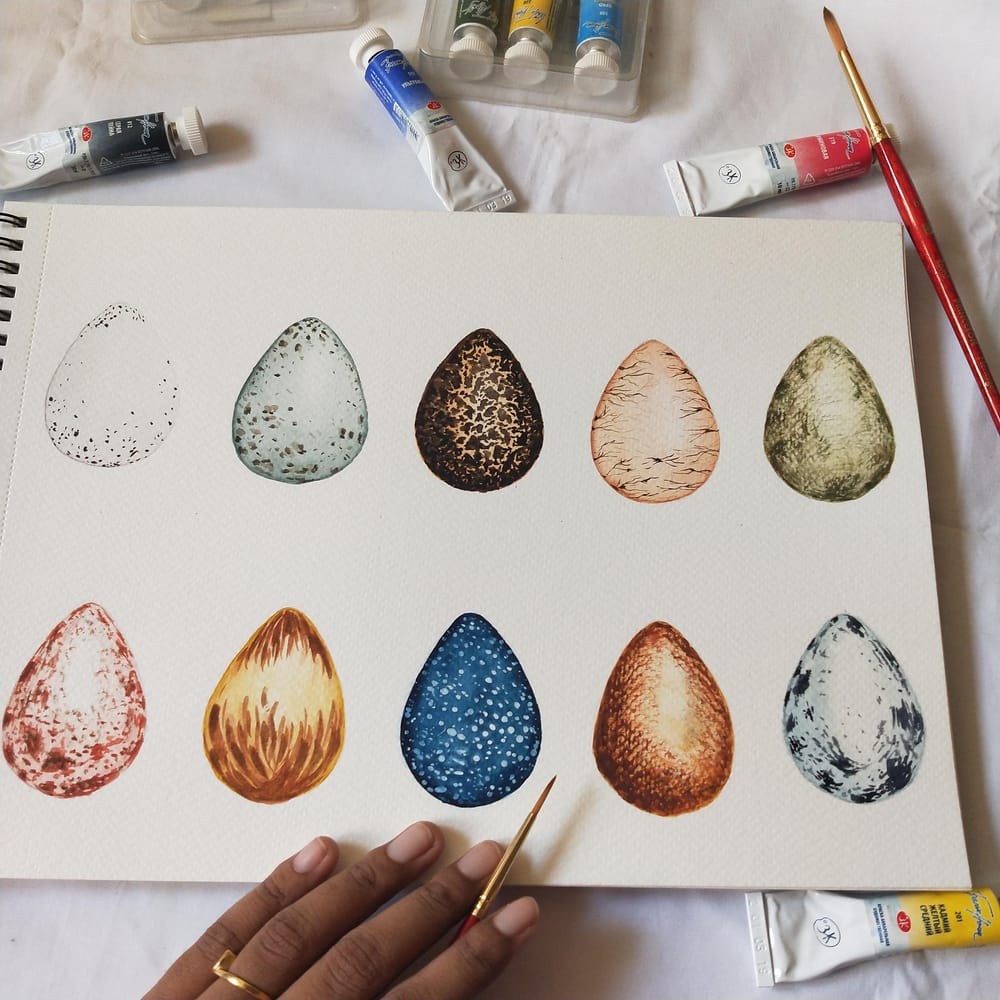 Eggs - Watercolor Textures | Skillshare Student Project