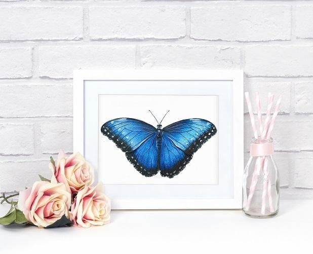 Watercolor pencils: butterfly | Skillshare Student Project