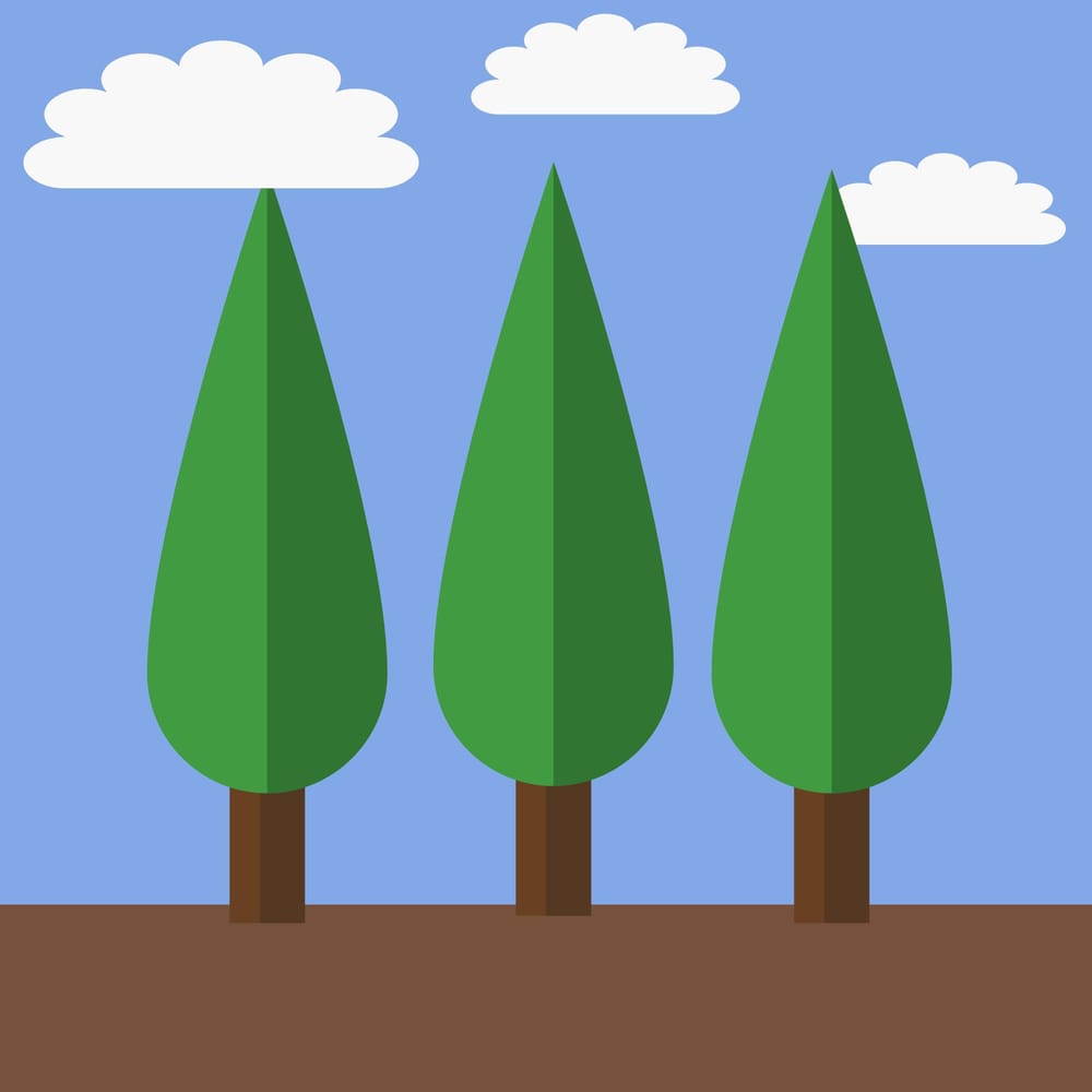 Trees and Clouds | Skillshare Student Project