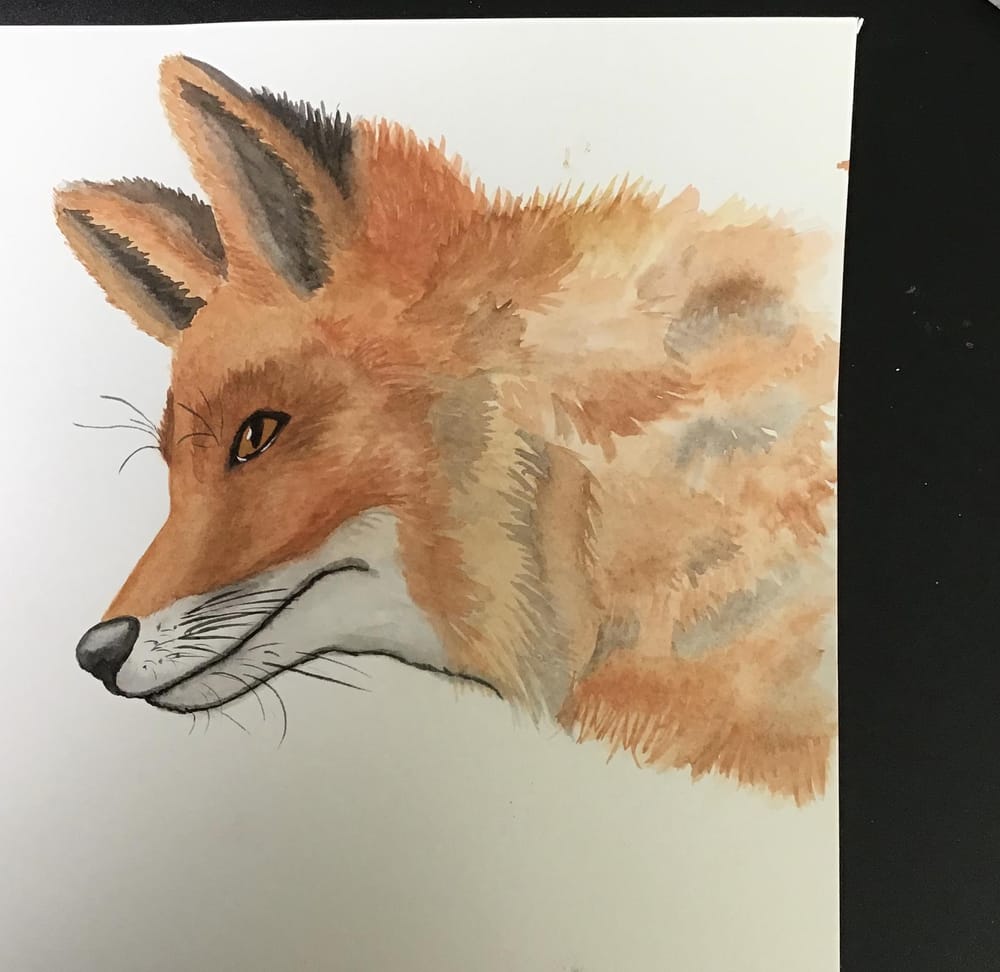 Animal Textures | Skillshare Student Project