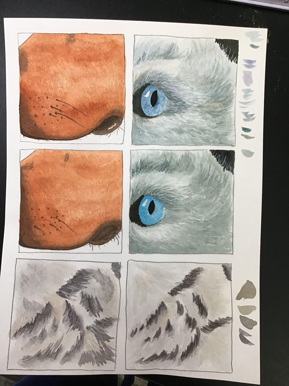 Animal Textures | Skillshare Student Project