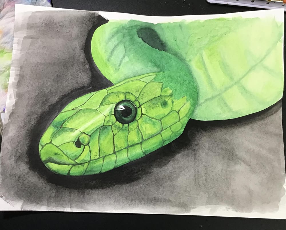 Animal Textures | Skillshare Student Project