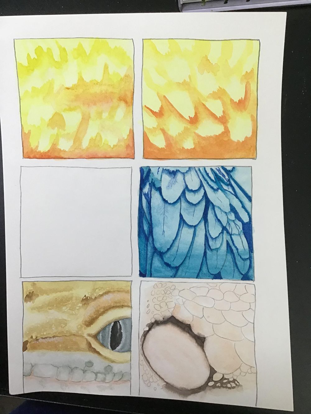 Animal Textures | Skillshare Student Project