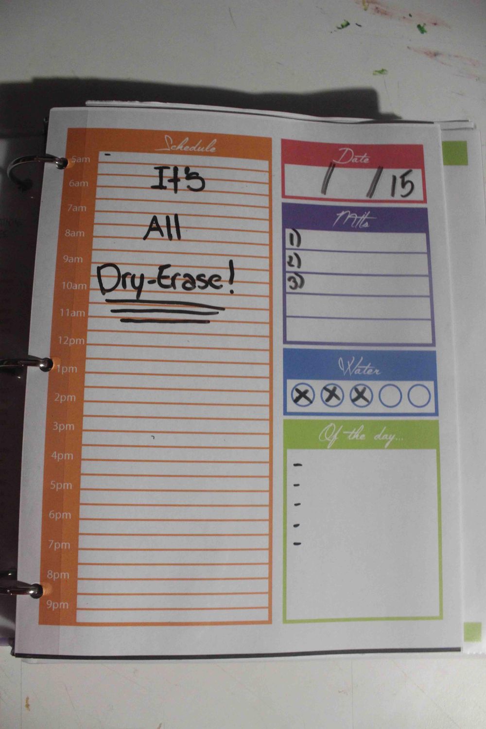 Sample Project: Isabel's Life Binder | Skillshare Student Project