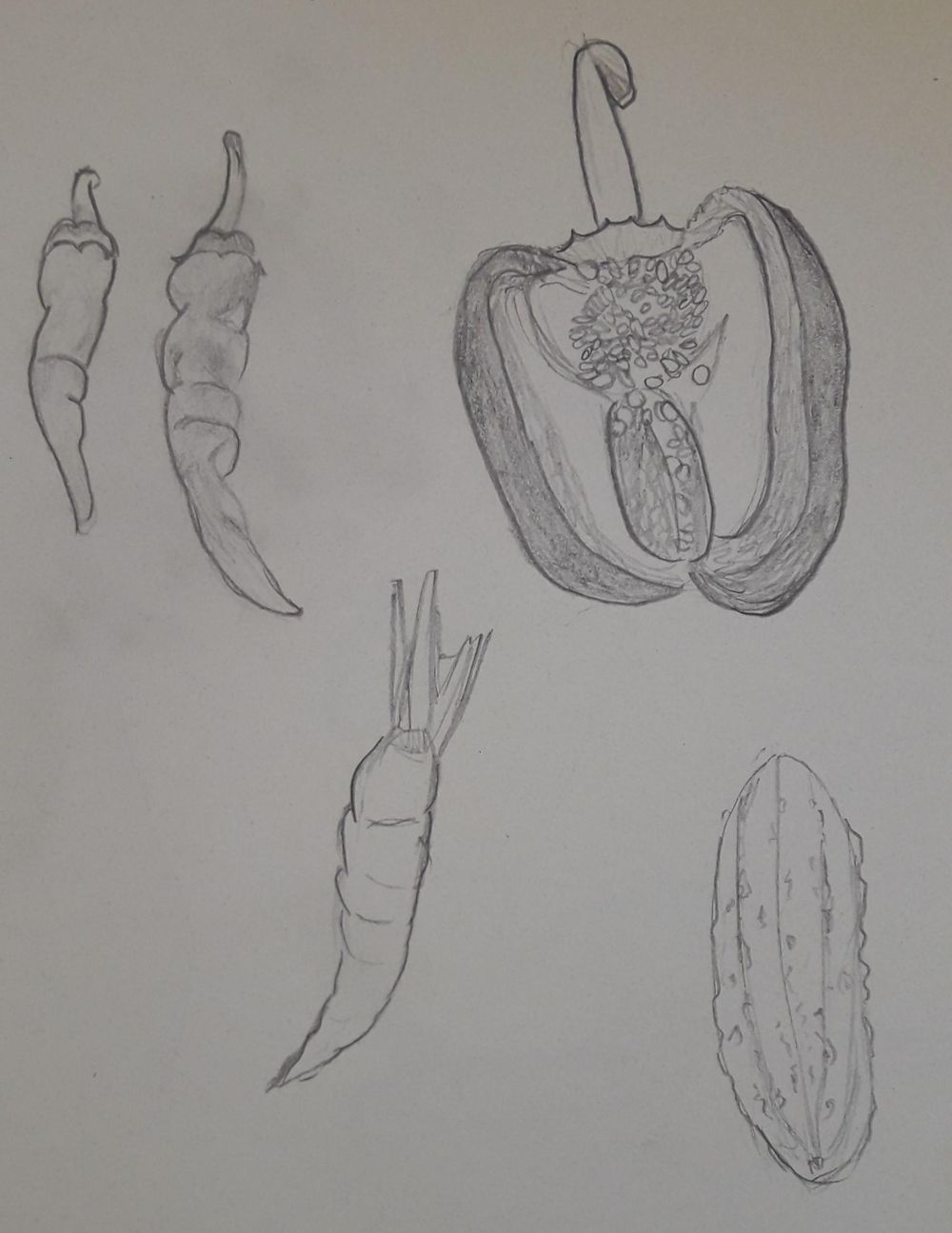 Contours / Drawing | Skillshare Student Project