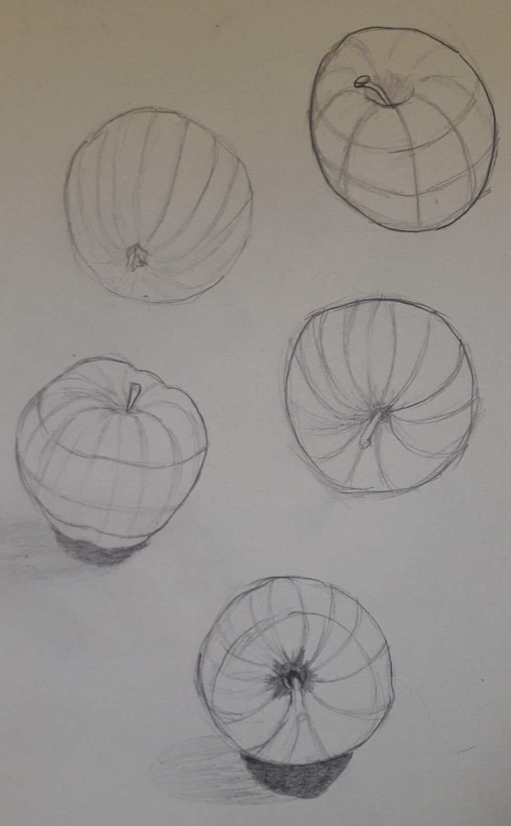 Contours / Drawing | Skillshare Student Project