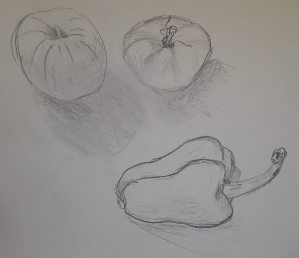 Contours / Drawing | Skillshare Student Project