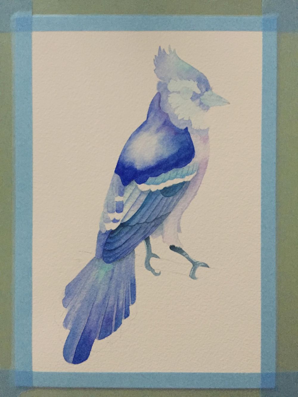 Watercolour Blue Jay | Skillshare Student Project