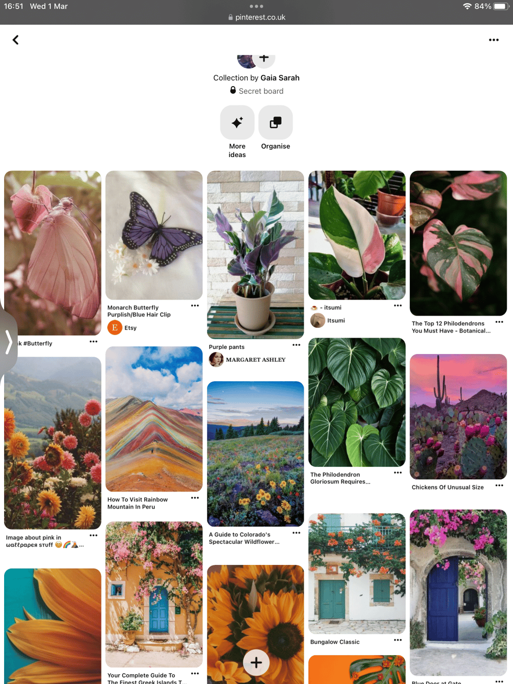 Signature style - work in progress | Skillshare Student Project