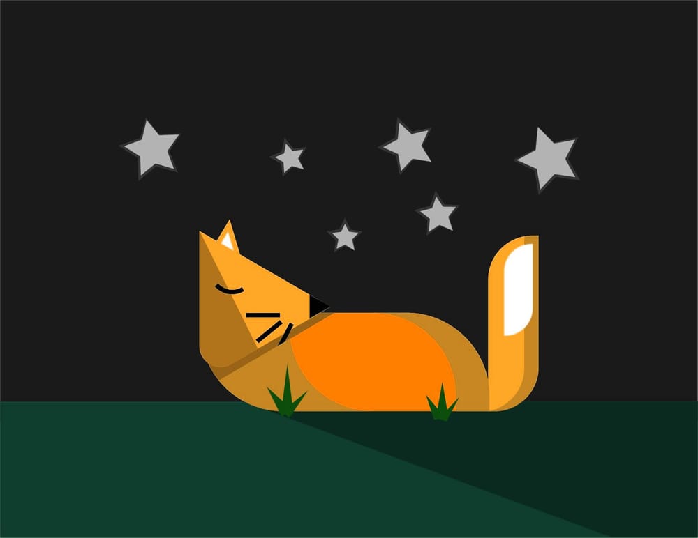 Illustrator Project Exercises | Skillshare Student Project