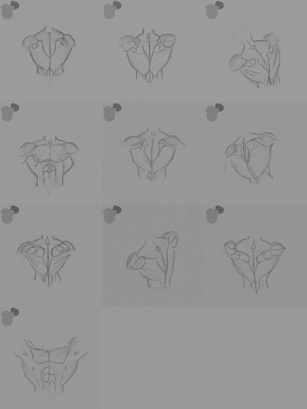 Anatomy practice | Skillshare Student Project