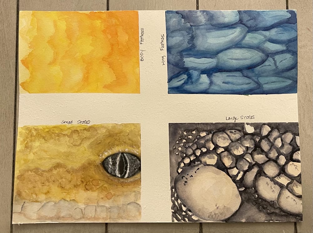 Practice feathers and scales | Skillshare Student Project