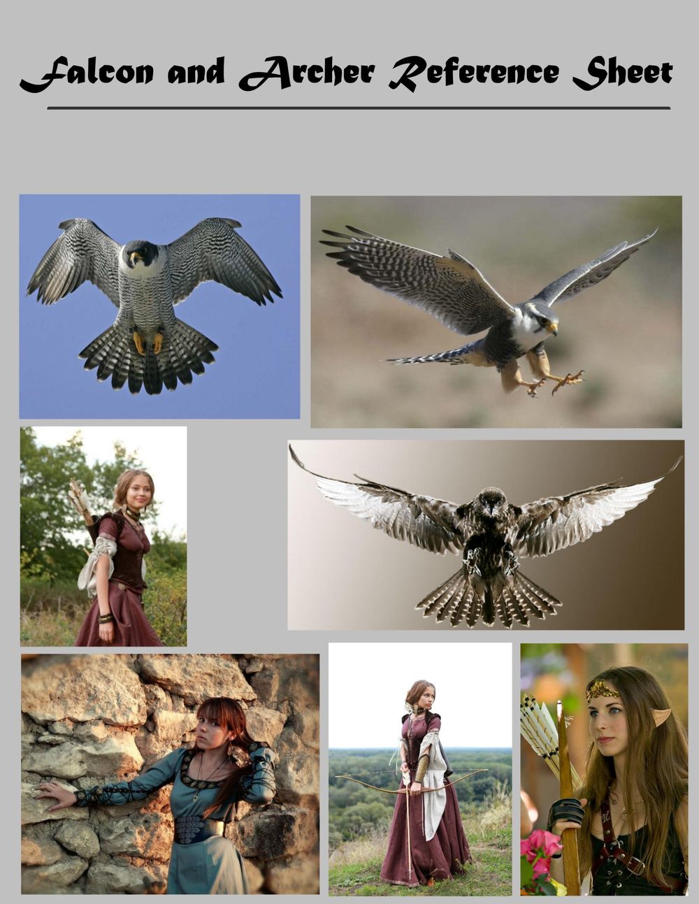 Triangular Shape Language with Peregrine Falcon Inspiration ...