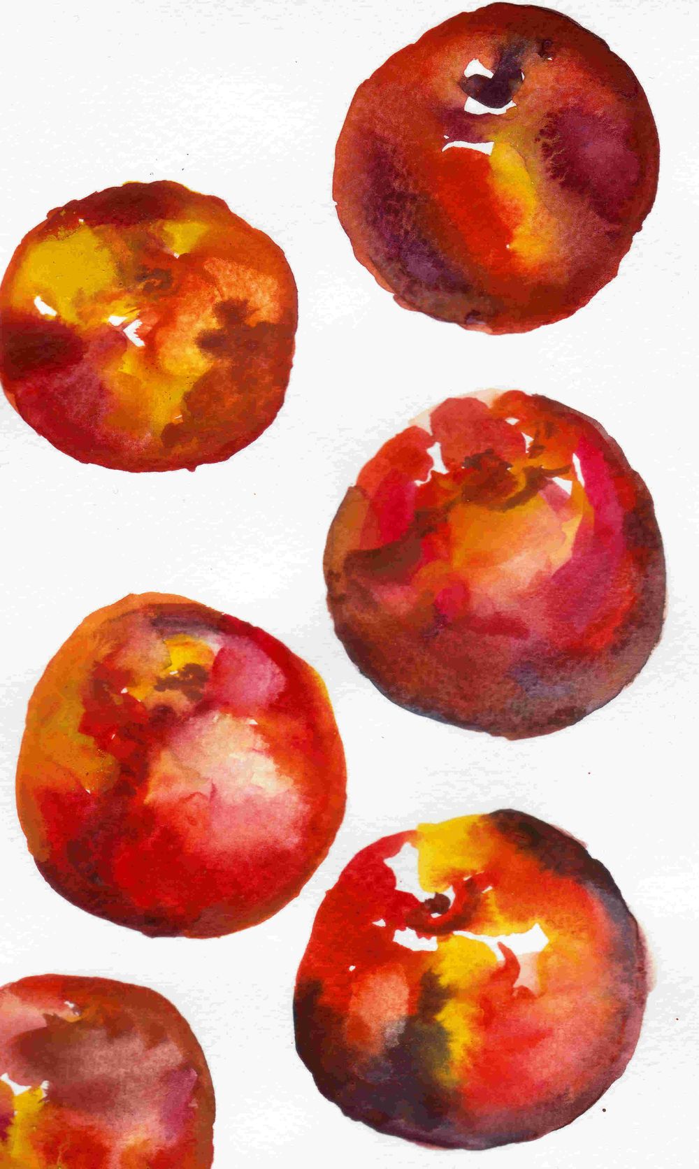 Space Berries | Skillshare Student Project