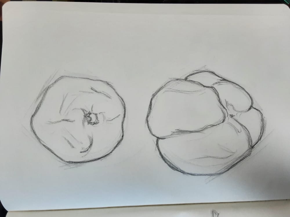 Contours class progression | Skillshare Student Project