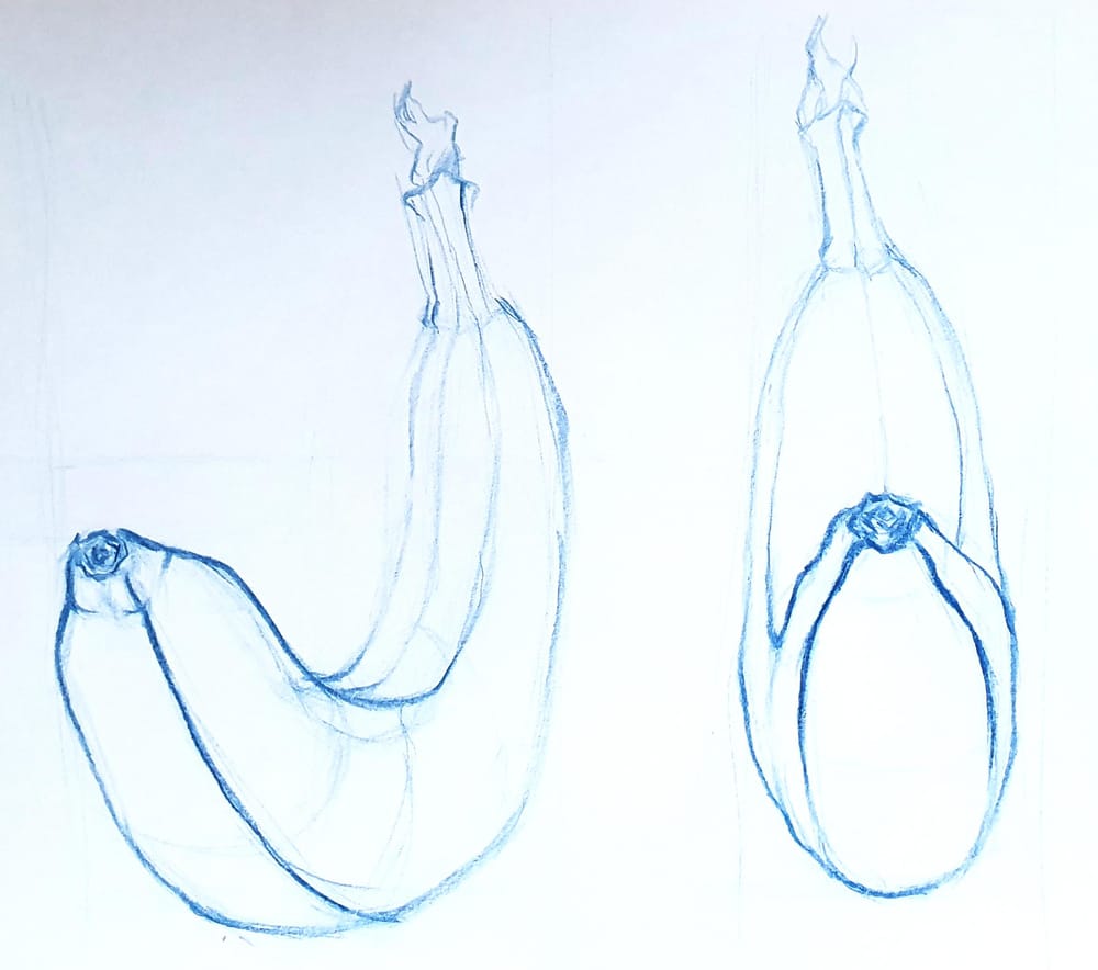 Contour Drawings | Skillshare Student Project