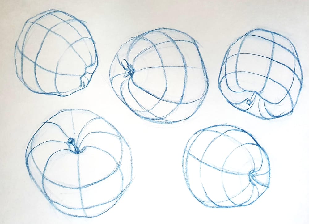 Contour Drawings | Skillshare Student Project