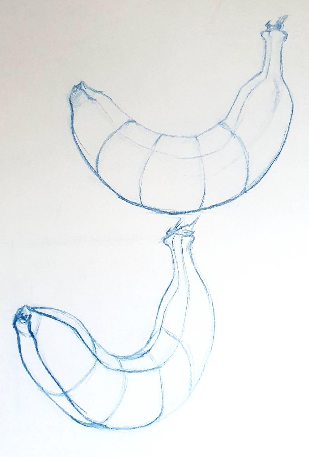 Contour Drawings | Skillshare Student Project