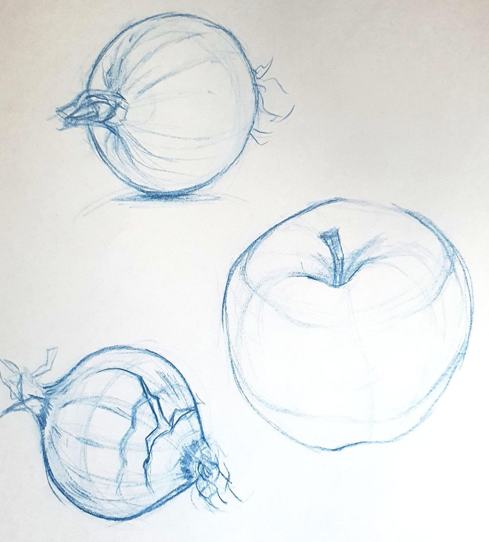 Contour Drawings | Skillshare Student Project