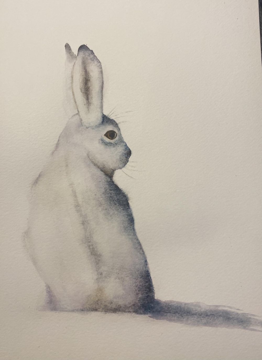 Snow Hare | Skillshare Student Project