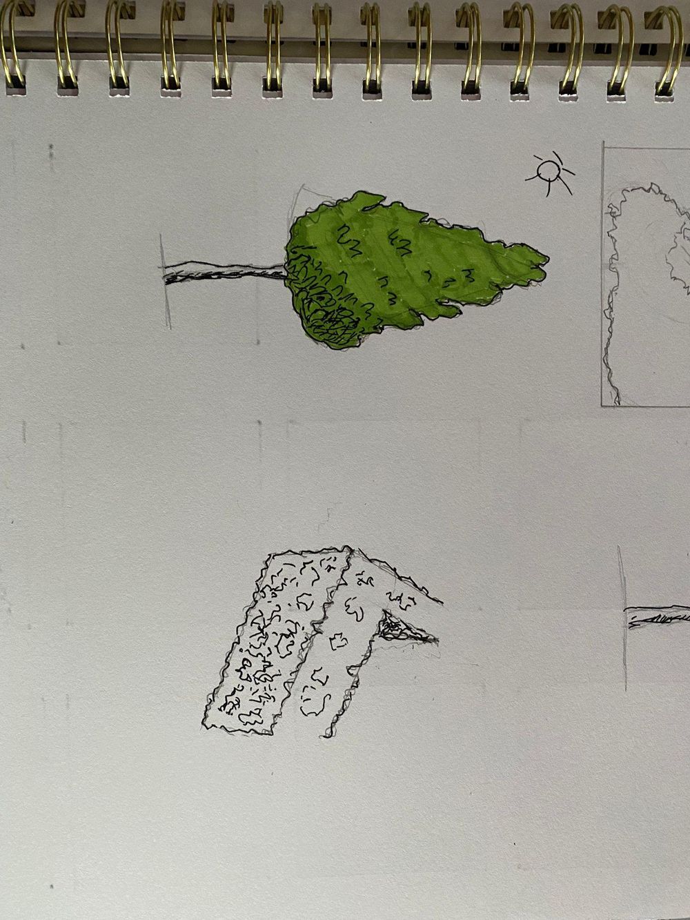 trees | Skillshare Student Project