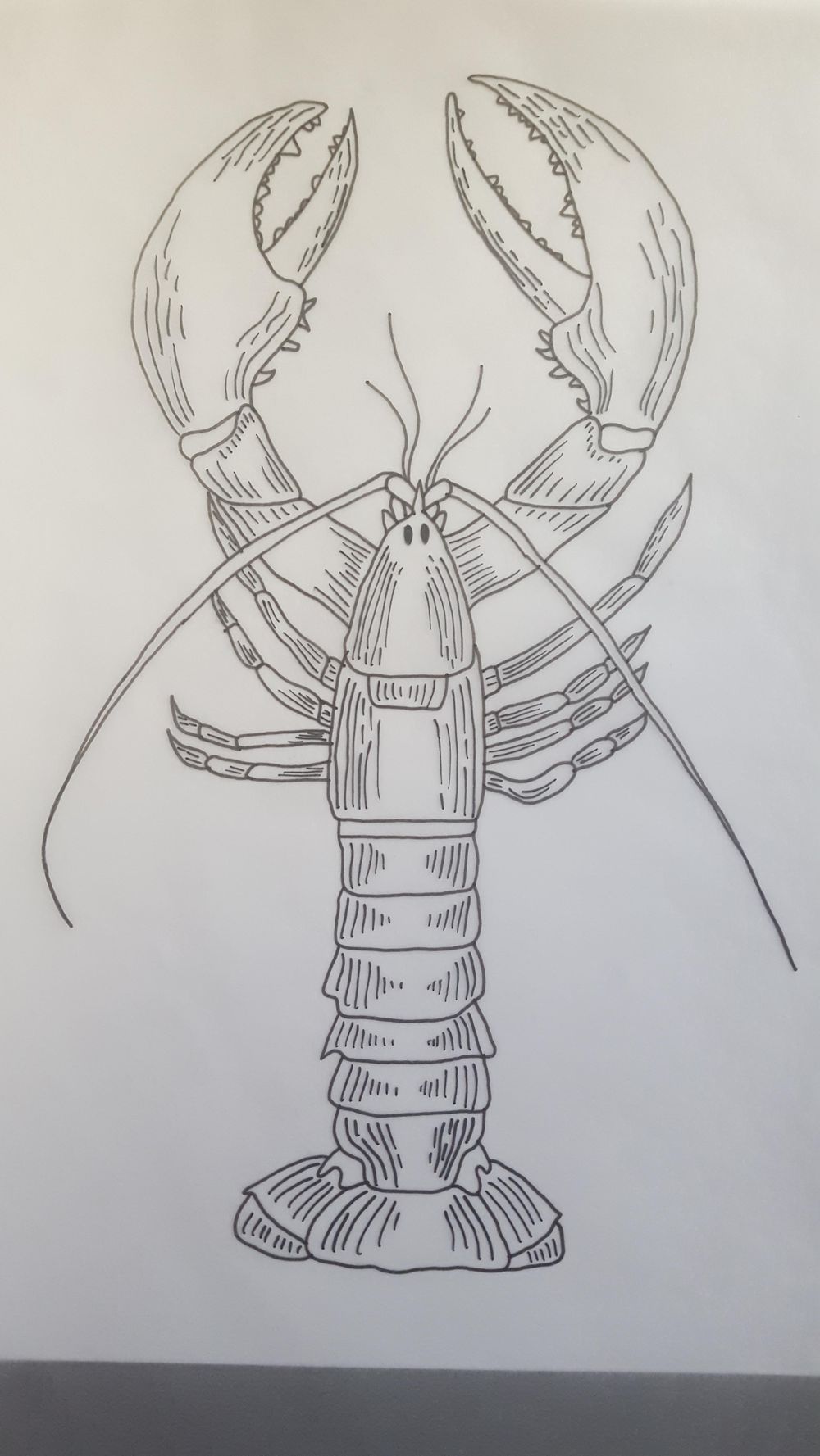 Drawing a lobster | Skillshare Student Project