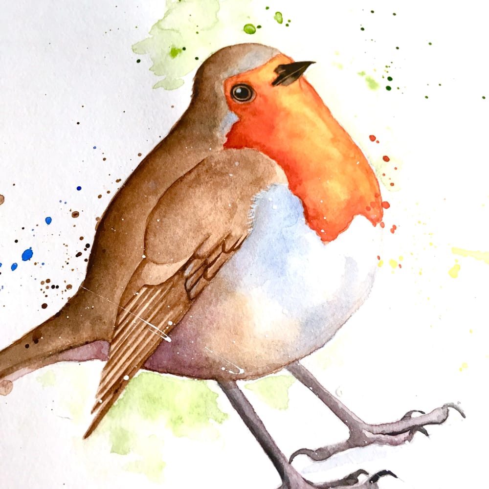 Robin Watercolor | Skillshare Student Project