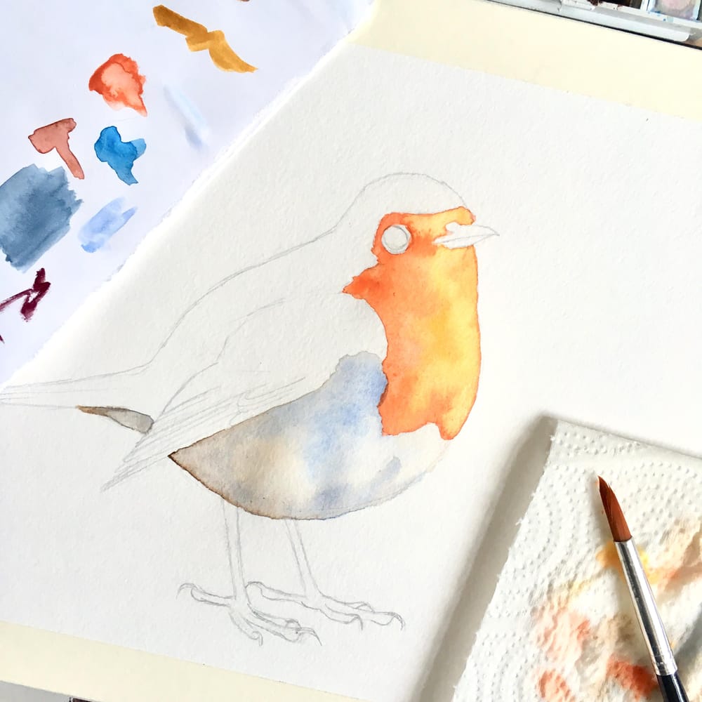 Robin Watercolor Skillshare Student Project