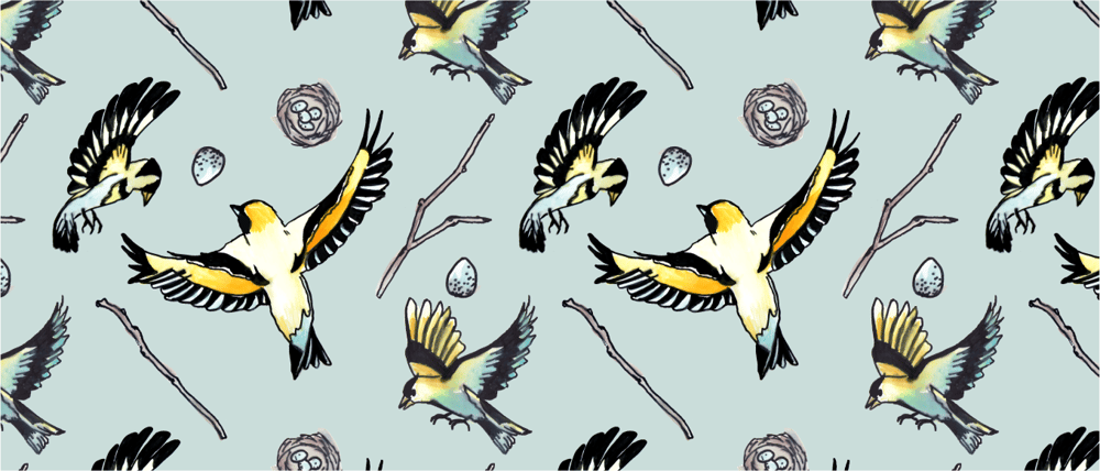 Bird Repeating Pattern Design | Skillshare Student Project