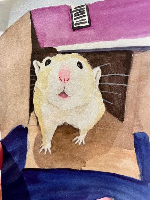 My Rat Mango | Skillshare Student Project