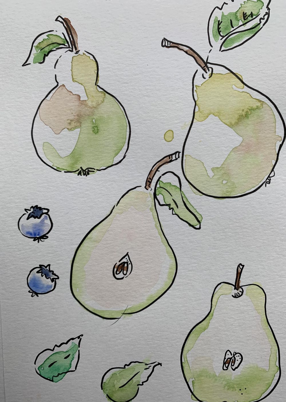 Watercolor and Ink Practice | Skillshare Student Project