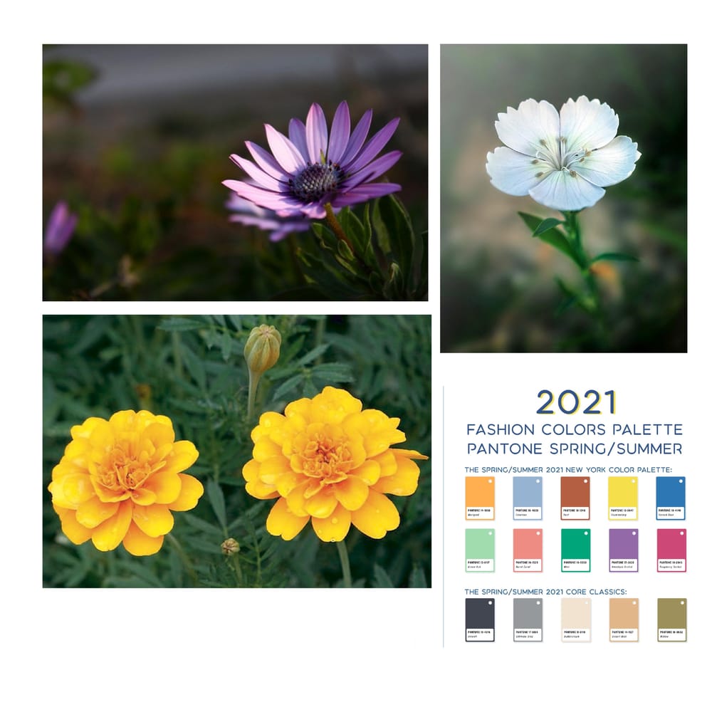 / Pain & Frustration - Happy Now! | Skillshare Student Project