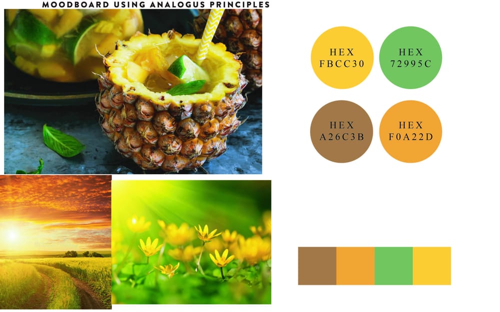 Violet | Skillshare Student Project