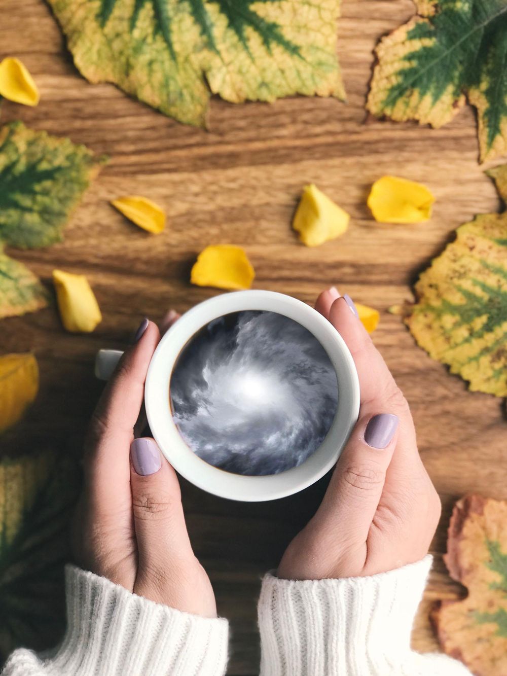 Photoshop Essentials | Skillshare Student Project