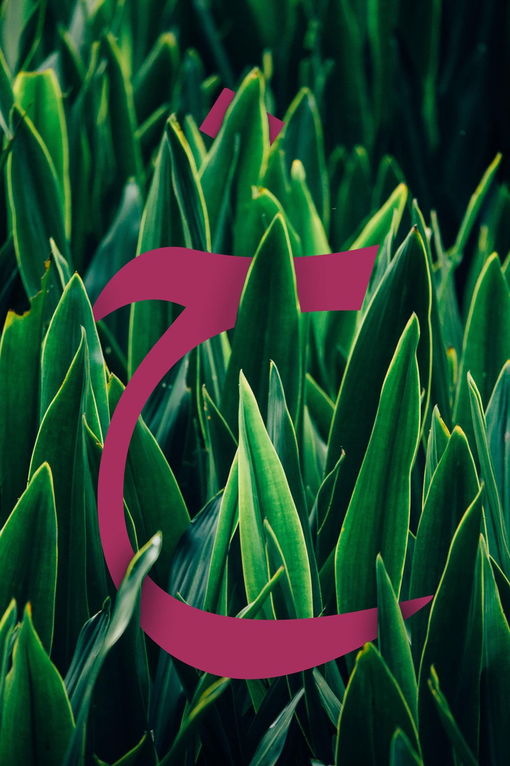 Text Image Interaction Skillshare Student Project