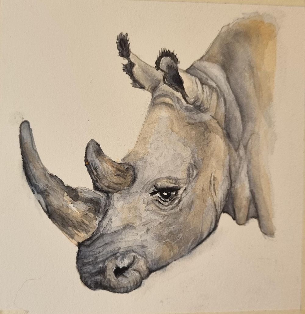 Class project | Skillshare Student Project