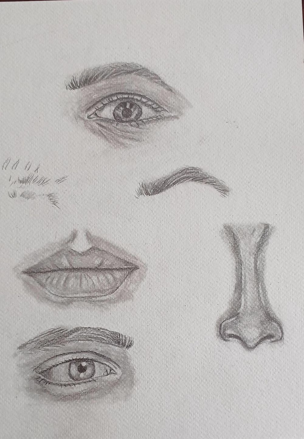how to draw lips eyes and nose