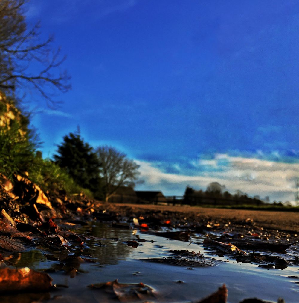 Sunny day | Skillshare Student Project