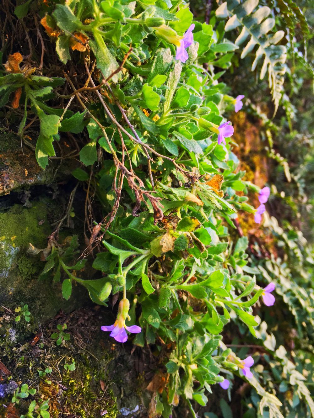 Sunny day | Skillshare Student Project