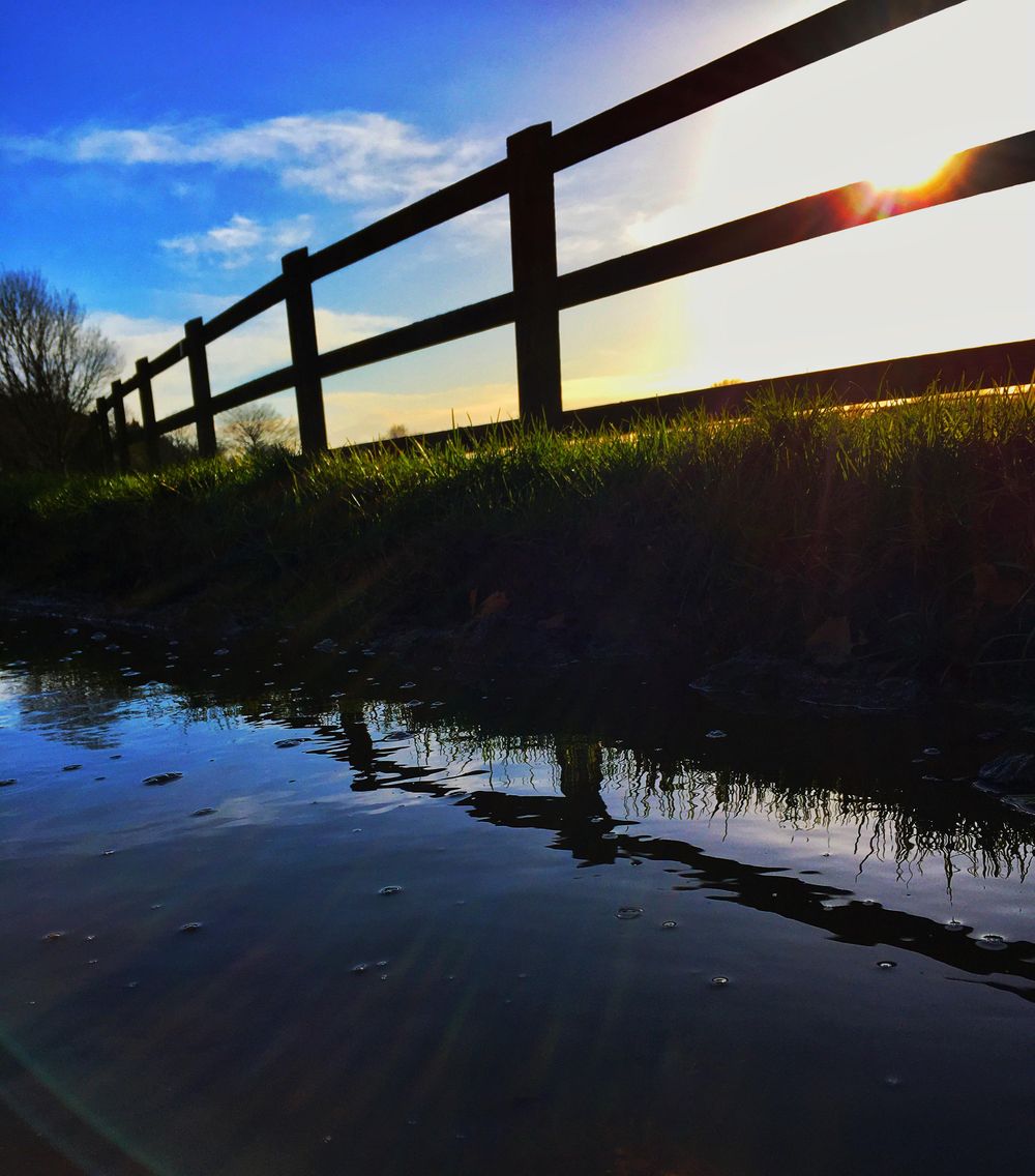 Sunny day | Skillshare Student Project