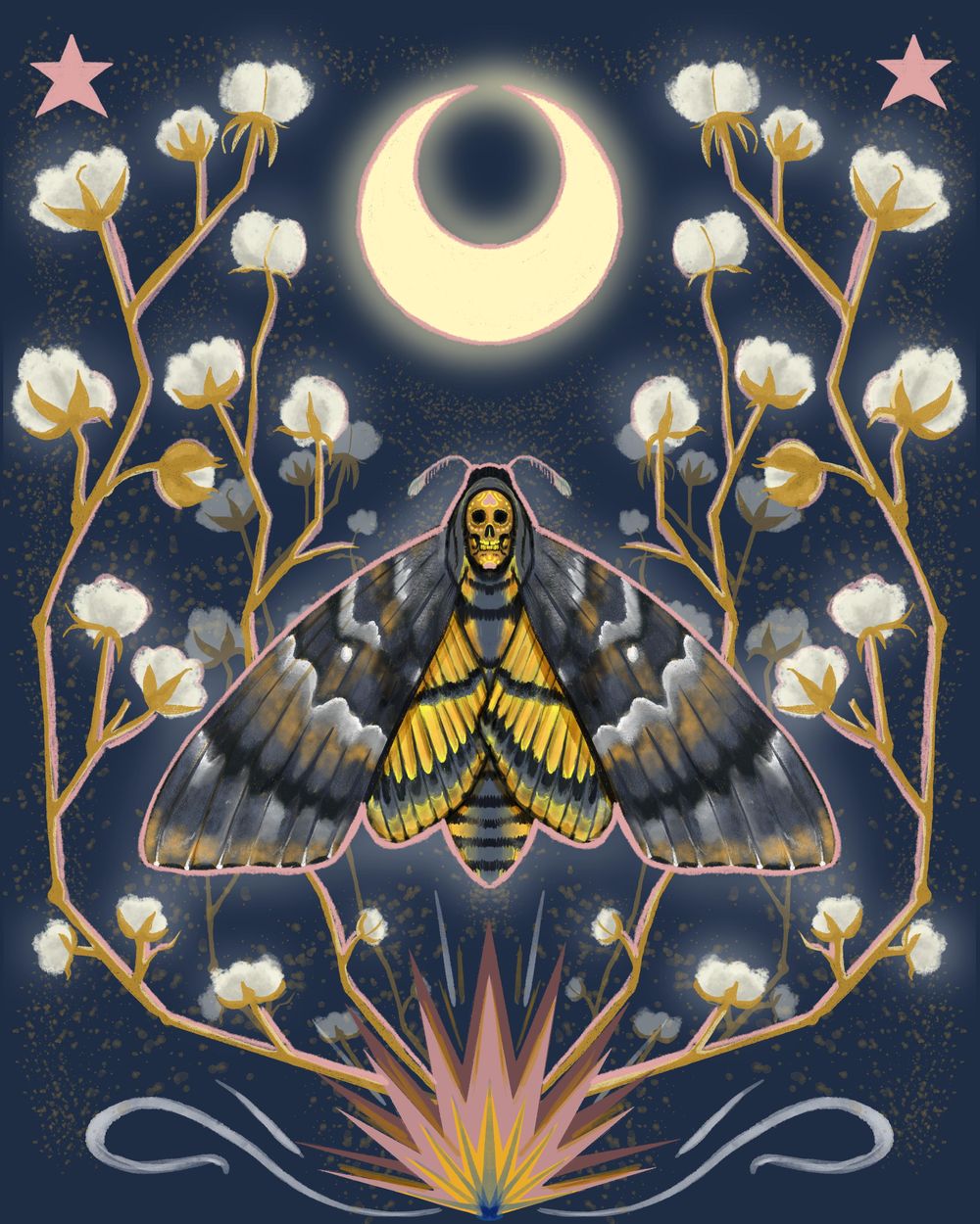 Deaths head hawk-moth | Skillshare Student Project