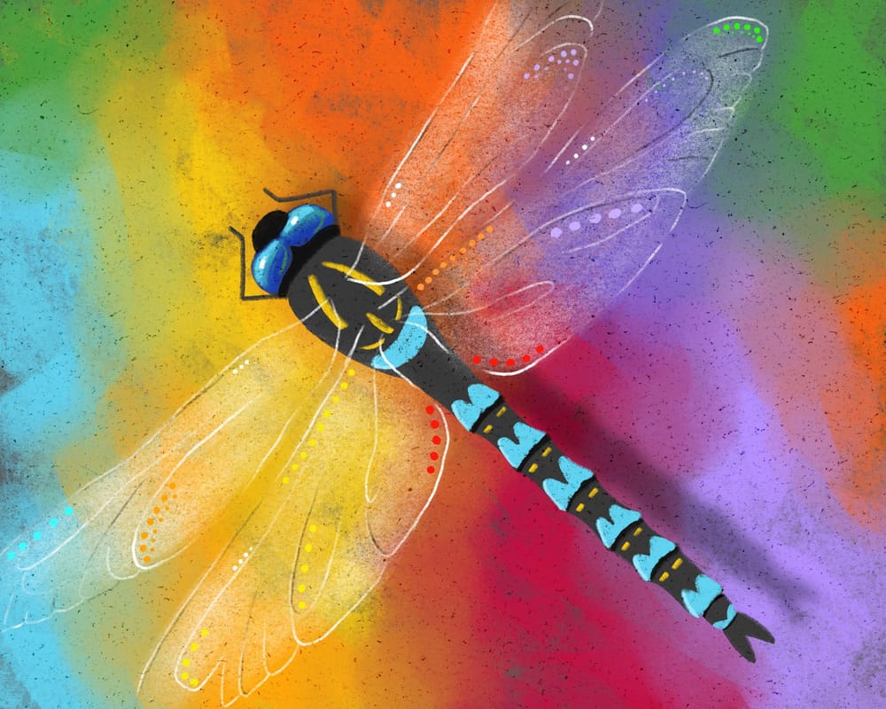 Pastel Dragonfly in Procreate | Skillshare Student Project
