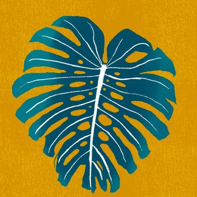 Mandala and tropical leaf | Skillshare Student Project